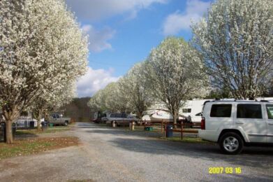 Cherokee Heritage - Tennessee Overhill